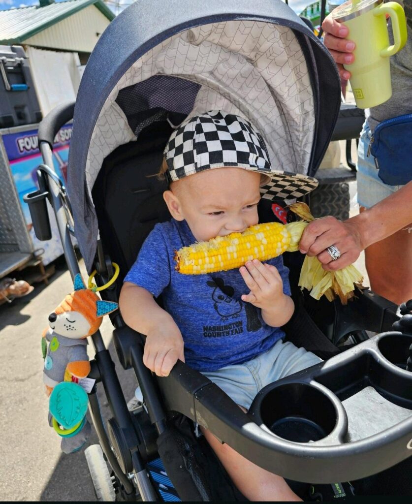 Vendors | Washington County Fair